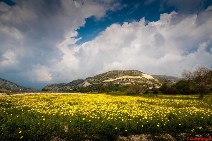worldzone7: Spring in Cyprus