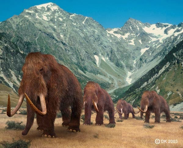 O Livro da Natureza: Mamutes