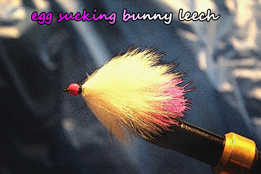 Illinois Wisconsin Fishing: egg sucking bunny leech