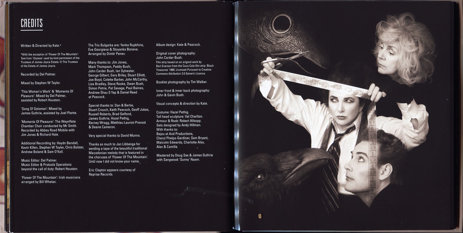 2011 Director's Cut - Kate Bush - Rockronología