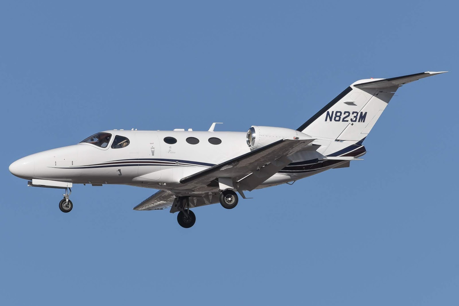 World Biz Spotters: 2018