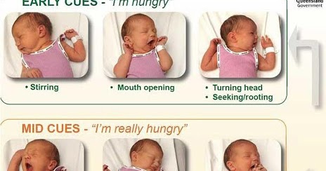 peaceful parenting: Your Baby's Signs of Hunger