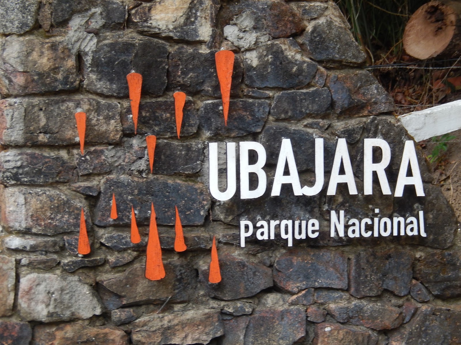 Trilhar e Mochilar: Trilhas do Parque Nacional de Ubajara /CE