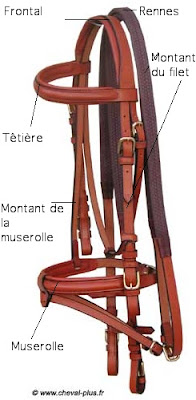 Mes amis les chevaux: filet.