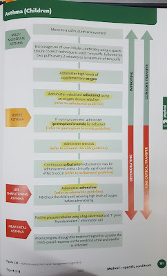 Respiratory Portfolio