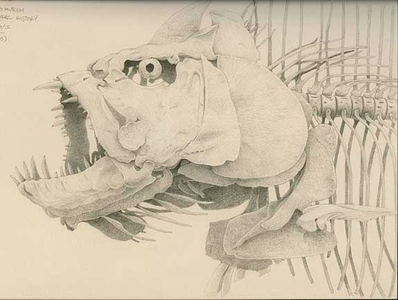 Ellen Leong Blonder: Fierce Fish Fossil