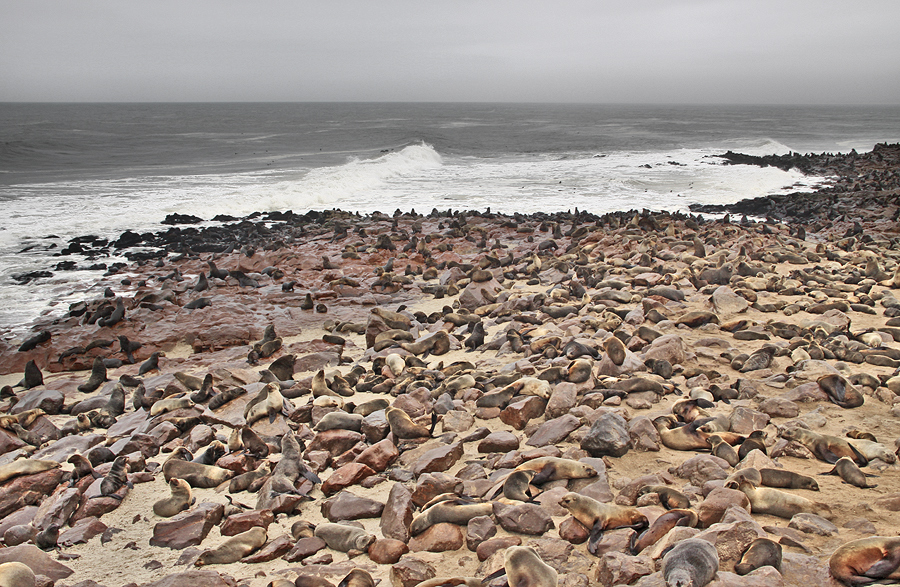 Wagner Christian Photography: Cape Cross - Namibia