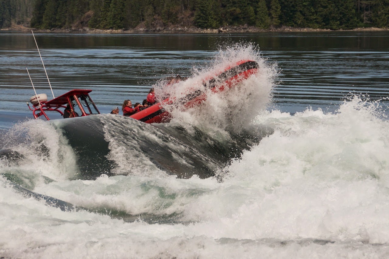Campbell River Whale Watching and Adventure Tours: DON'T FORGET THAT WE ...