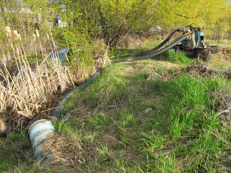 The Cranbrook Guardian: Elizabeth Lake Flood of 2014