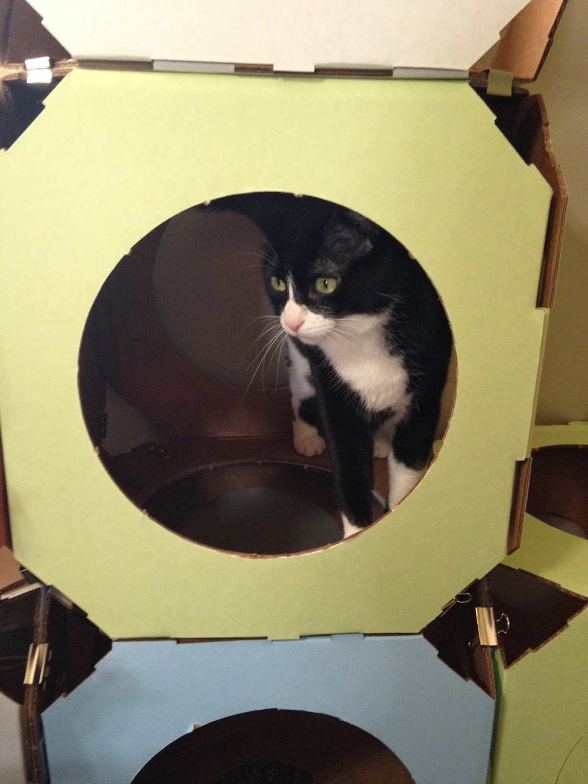 Mommy's Favorite Things: Catty Stacks Review & Giveaway