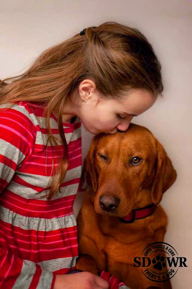 Diabetic Alert Dogs by Warren Retrievers: Autism Service Dogs: Filling ...