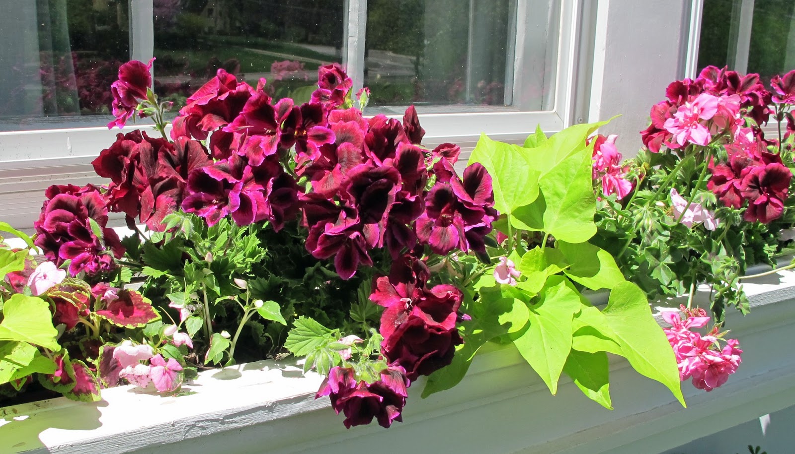 Just*Grand: Window Boxes