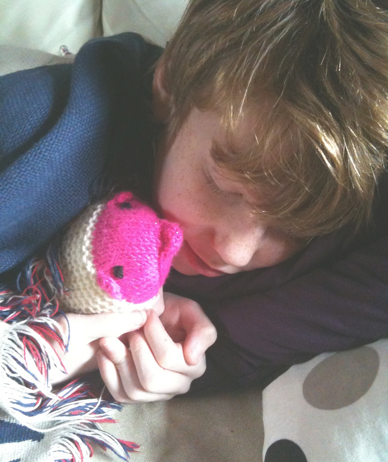 pink hedgehog - Julie Measures