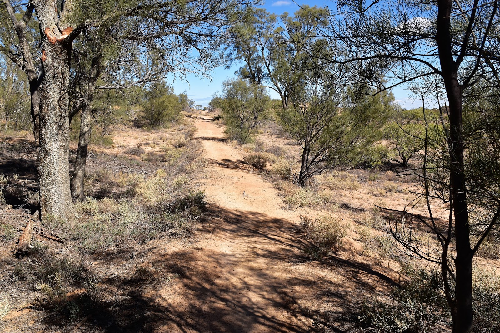 Goin' Feral One Day At A Time: Pink Lakes Walk, Murray~Sunset National ...