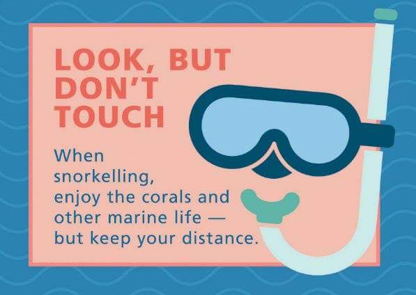 Covediver's Log: Please Don't Touch the Coral