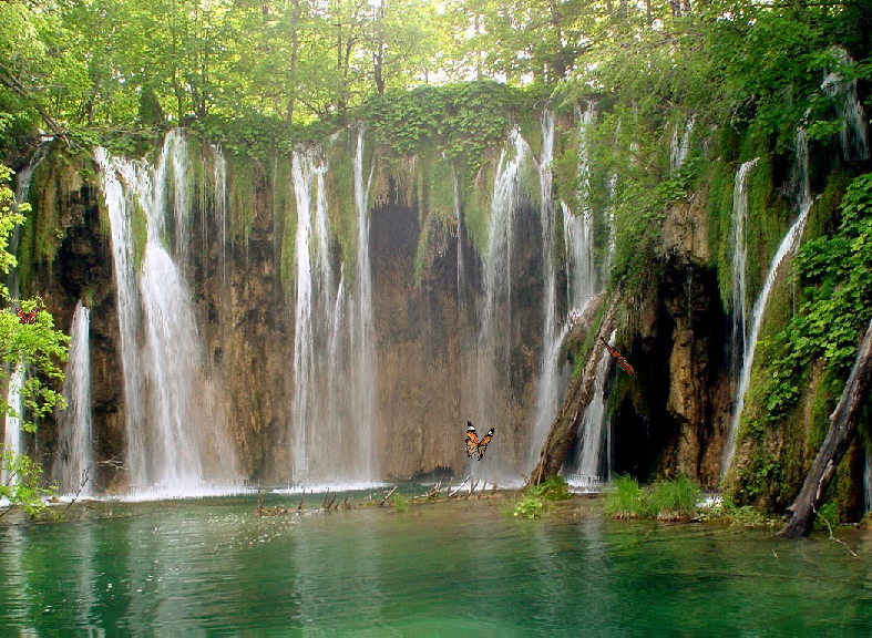 Animated Nature Screensavers: Beautiful Animated Screensavers With ...