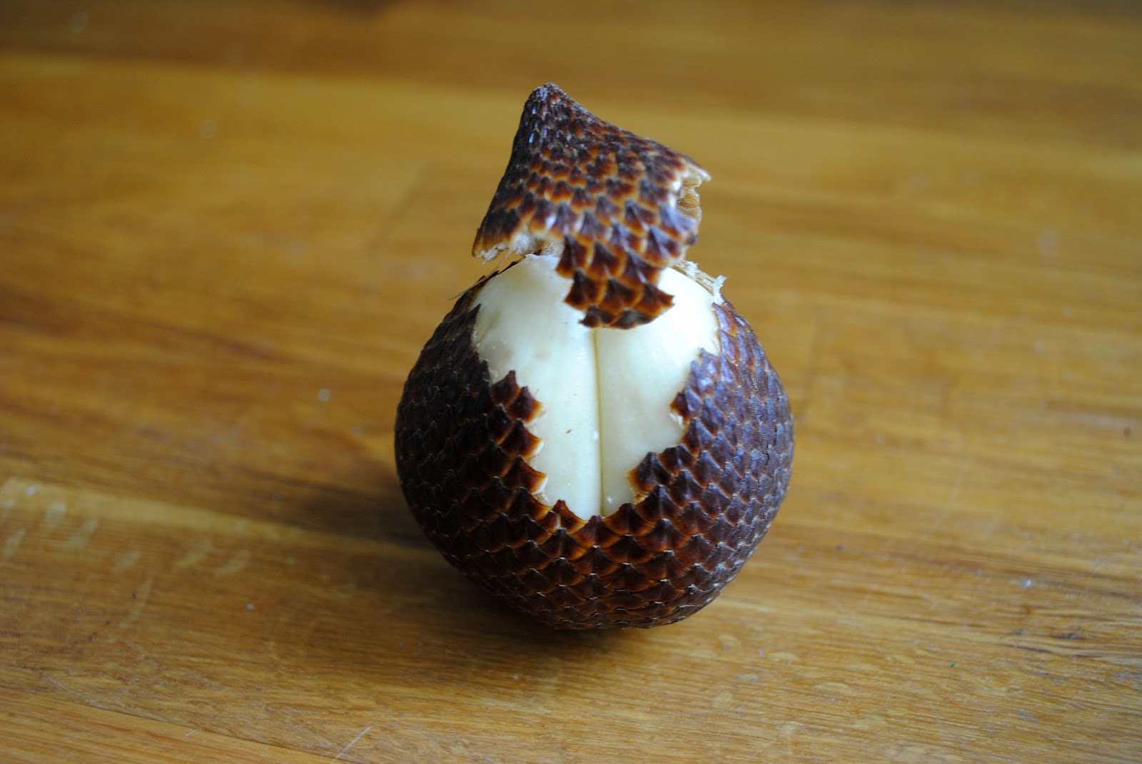 Singapore Wild City: Feel fruit to taste # 04 The Snake Fruit