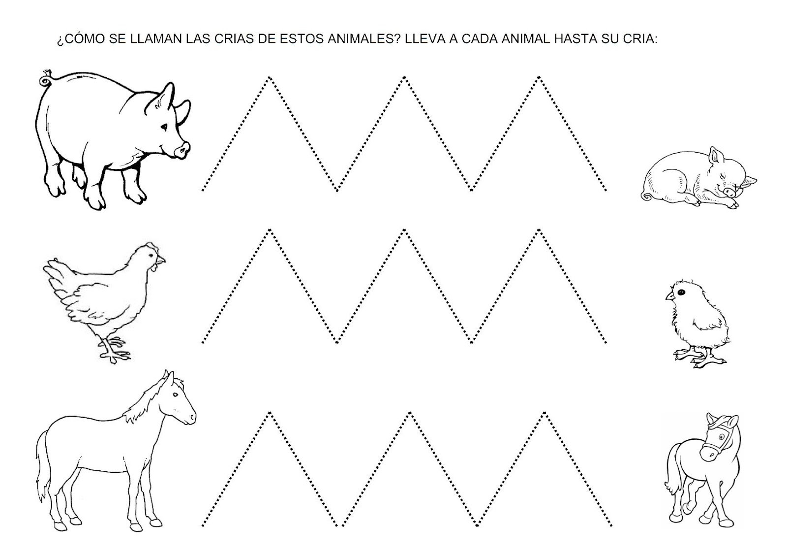 RECURSOS y ACTIVIDADES para Educación Infantil: Actividades ANIMALES de ...