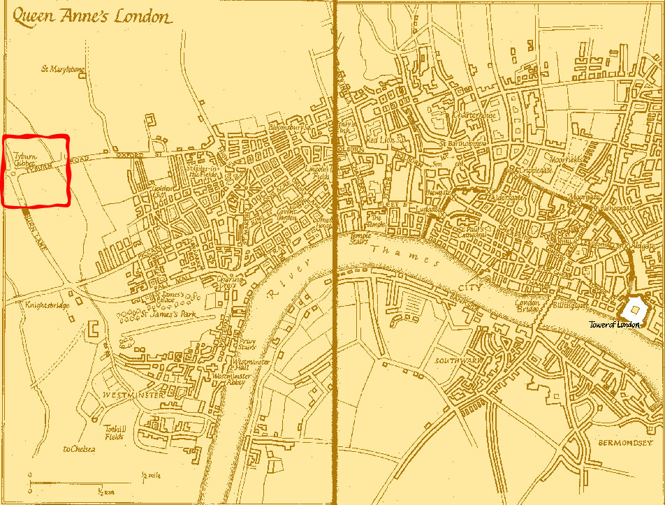 got soil?: This is one tree you didn't want to hug