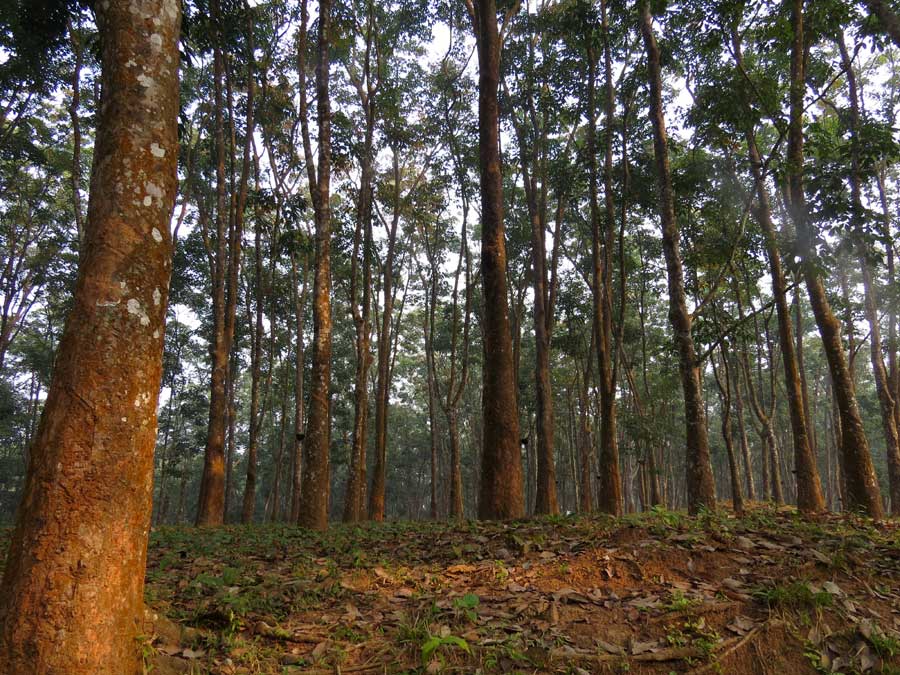 Just About Everything: Tripura; Sepahijala Wildlife Santuary, Boxanagar ...