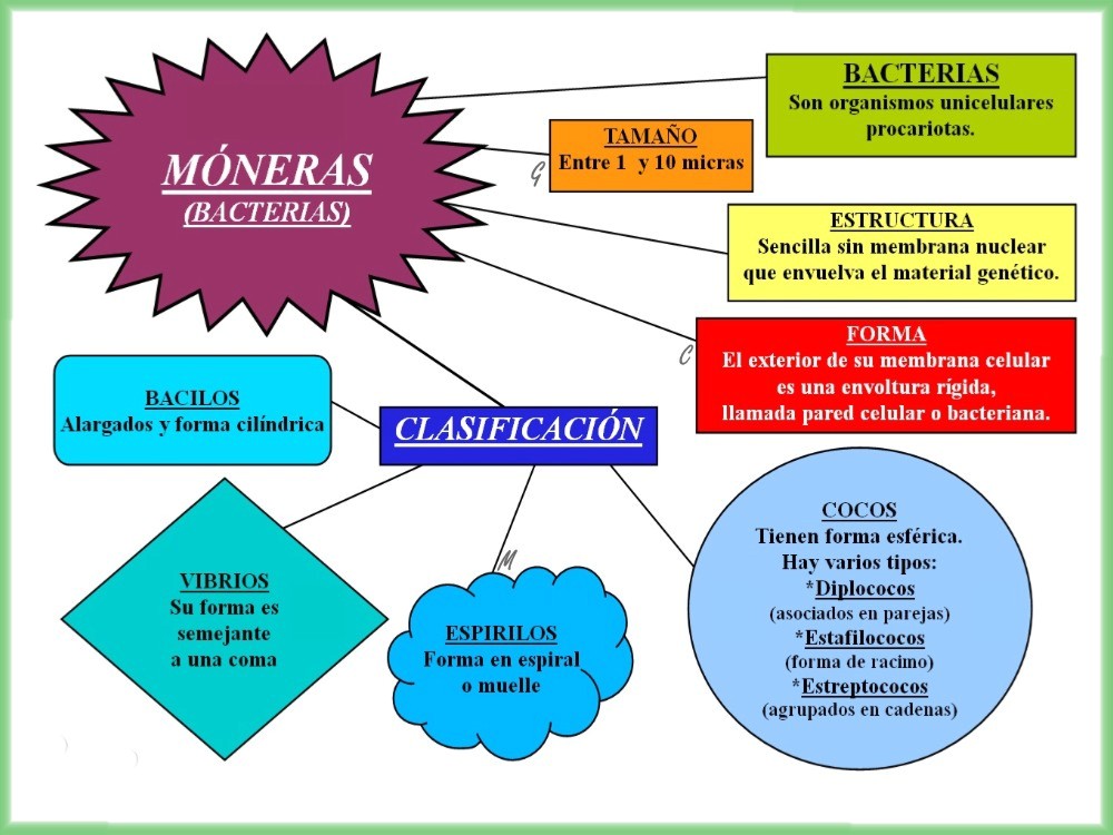 Esquemas Galledor: Móneras