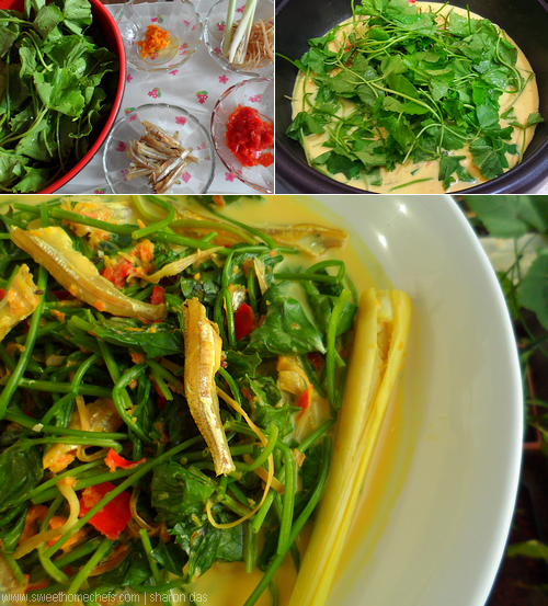 Sweet Home-Chefs: Daun Pegaga Masak Lemak (Centella In Turmeric Coconut ...