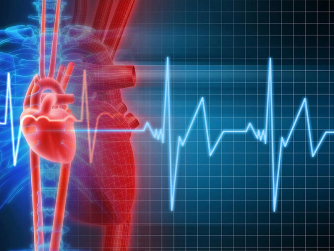 Che cosa indica la frequenza cardiaca?