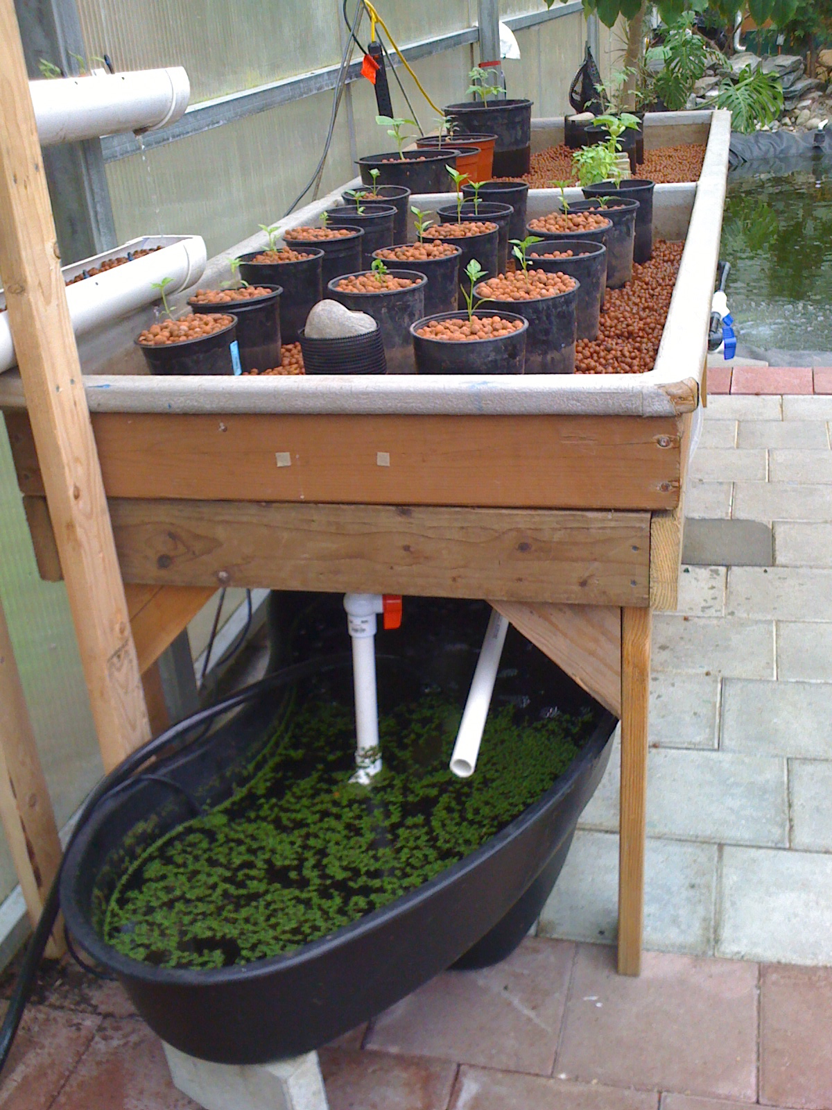 Hydroponics Blog: Healthier Food: New Aquaponics System - Nearly Done!