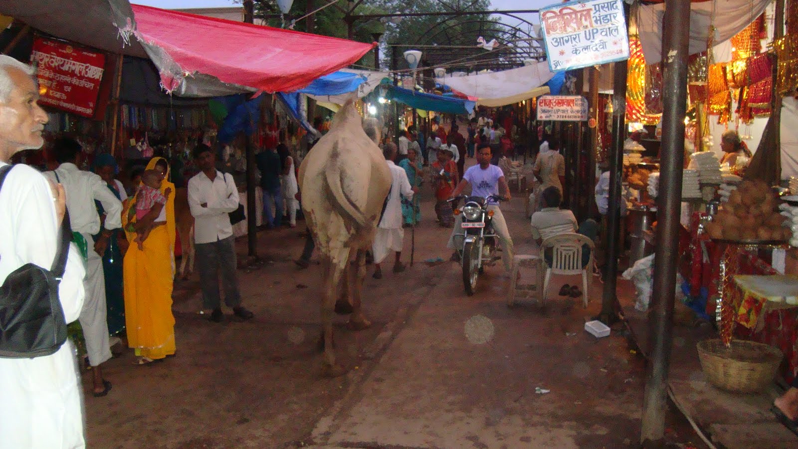 On the Road --> Religiously to Kaila Devi