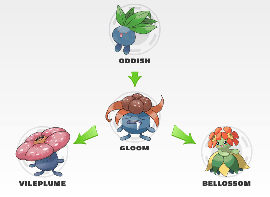 Hire Me, Sugimori!: Idea #7: Where To Branch Evolutions