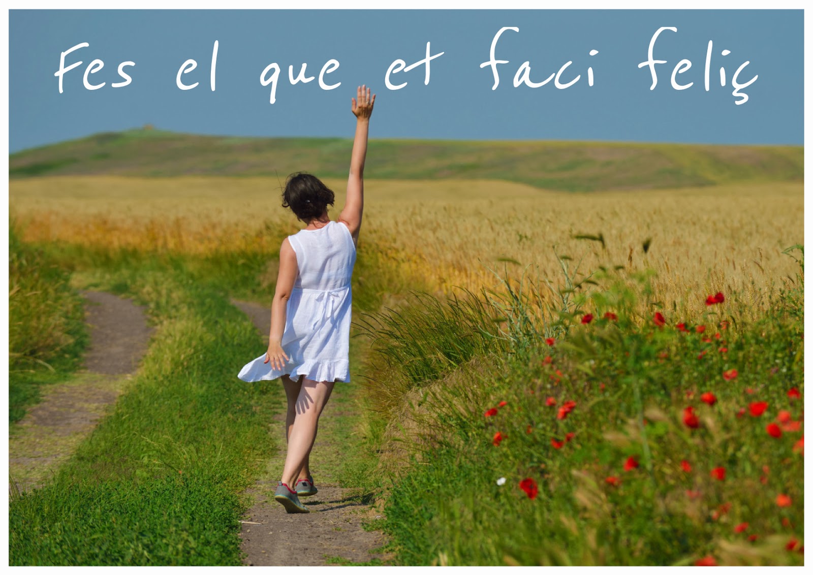 Català per ser feliç :): CONSELLS PER SER FELIÇ - l'imperatiu 2