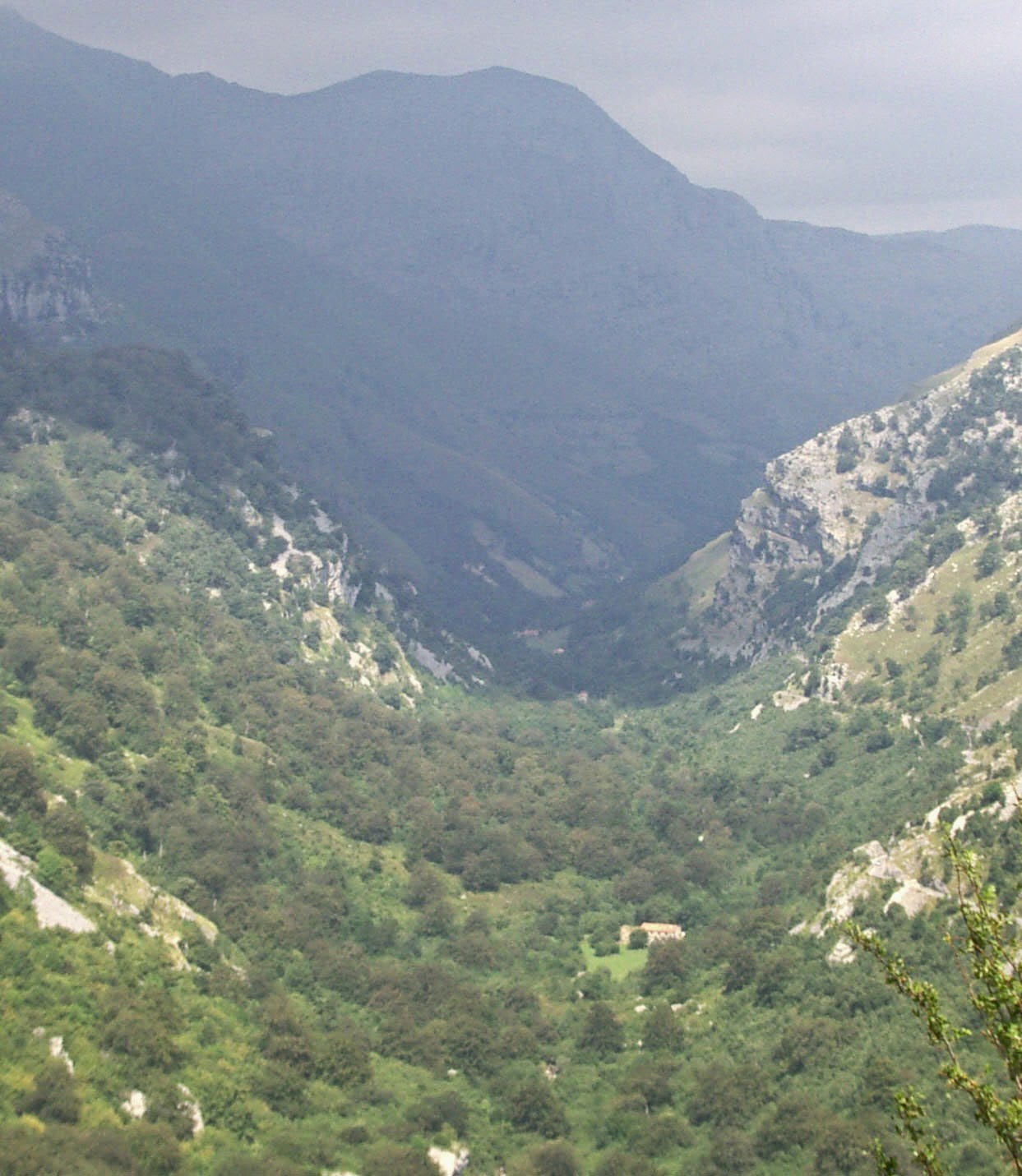 El puzzle del agua: Cursos del rio