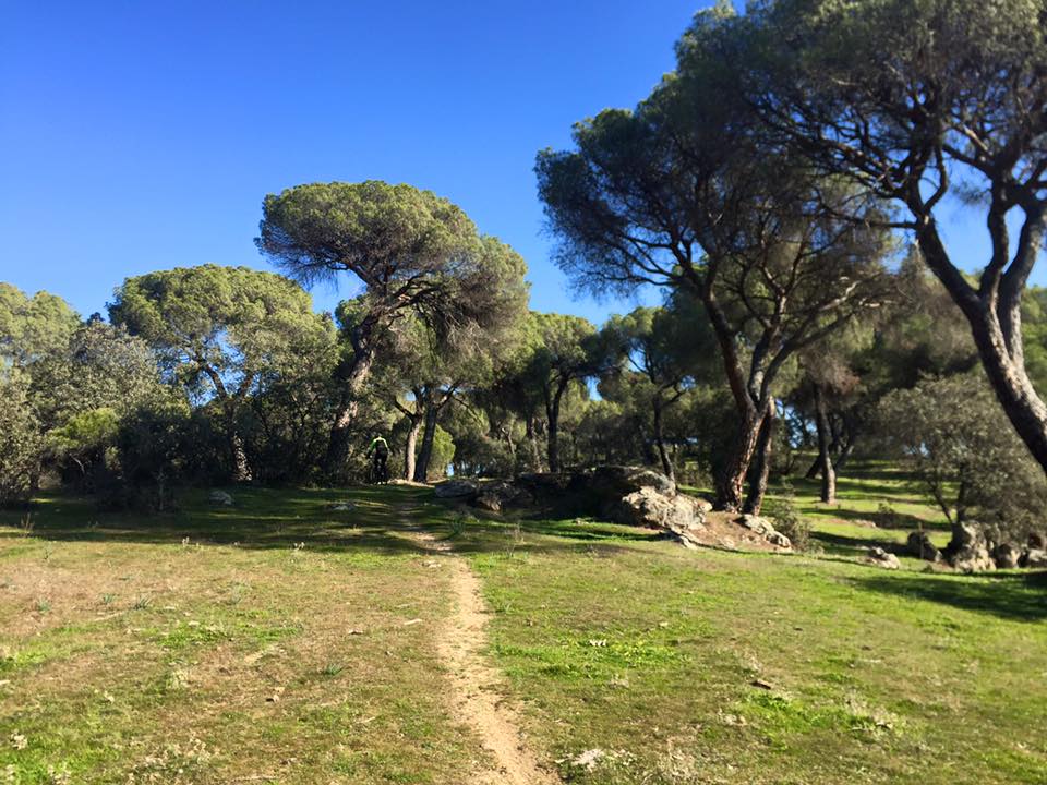 MoreOcio: Cadalso y el pinar de Almorox