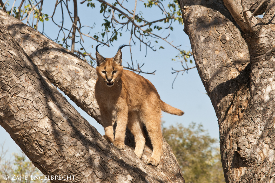 Photography Workshops: June 2012