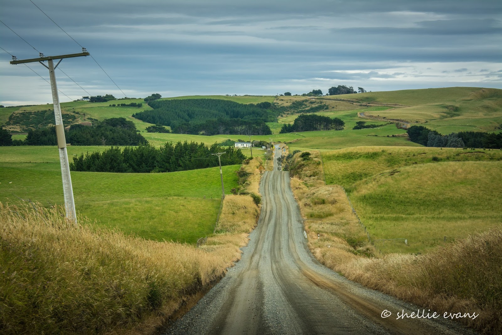 Two Go Tiki Touring: Weir, Waipapa & a Coal Pit