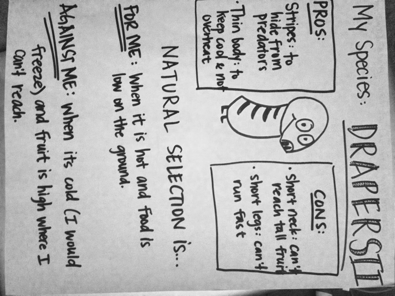 Teaching the Kid: Natural Selection Project