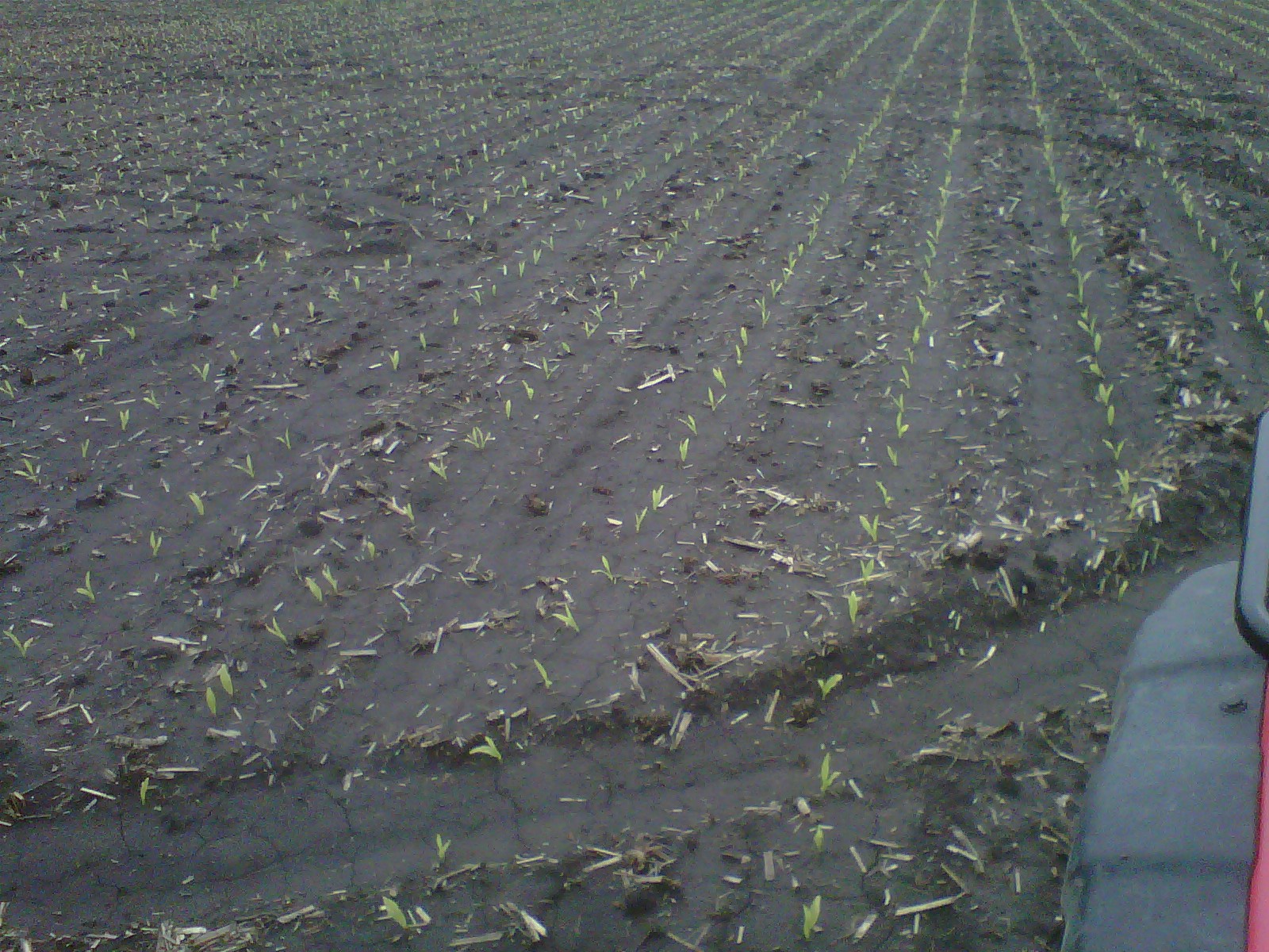 Observations in Agriculture: Greenfield Athensville