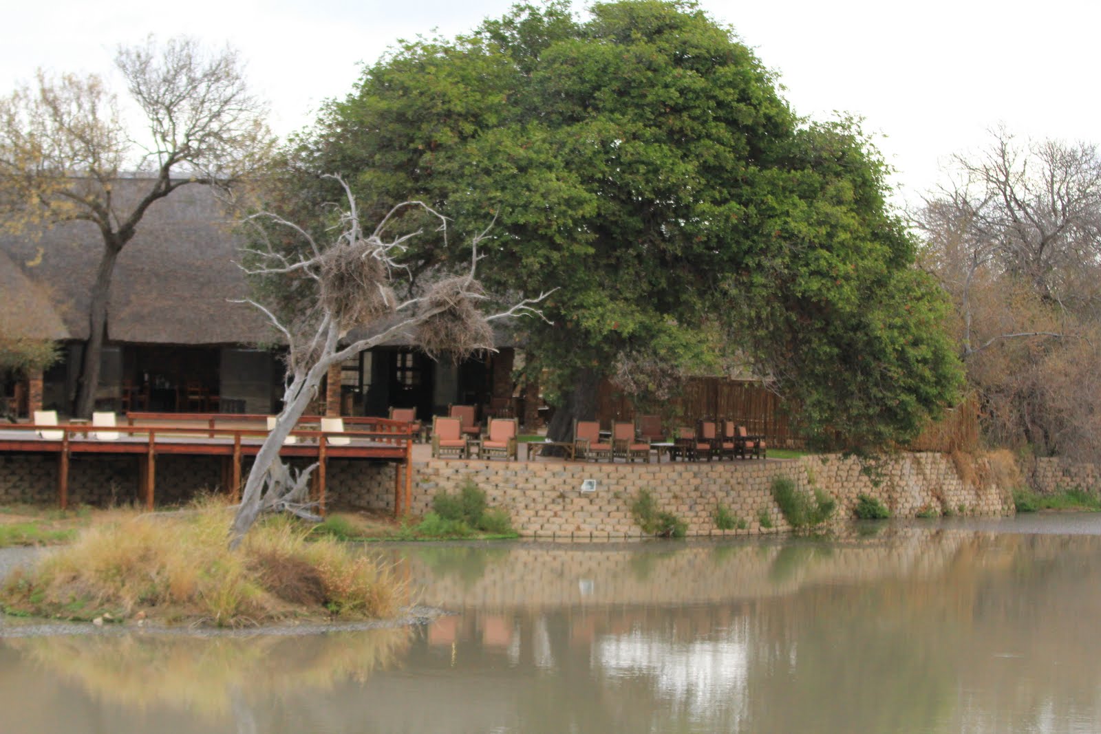Adventures: Pictures of Gomo Gomo Game Lodge
