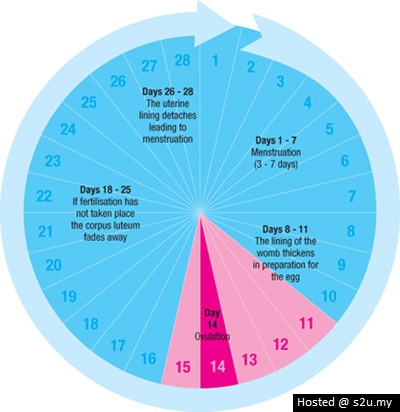 SHAKLEE: Kitaran Haid