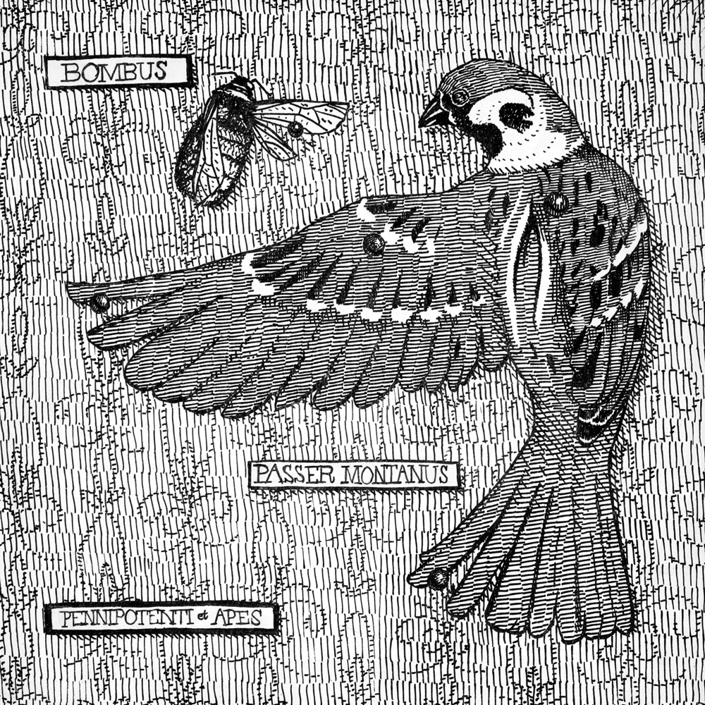 Desarae Lee Illustration: The Birds and The Bees