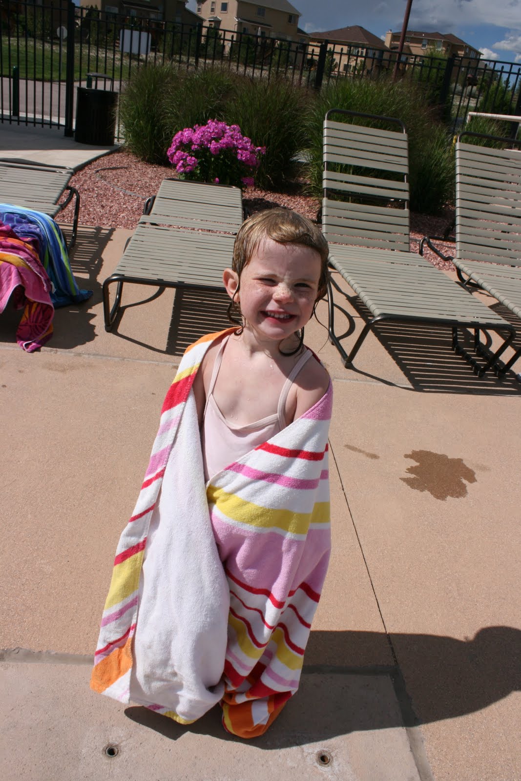 Egbert Family Blog: The Pool