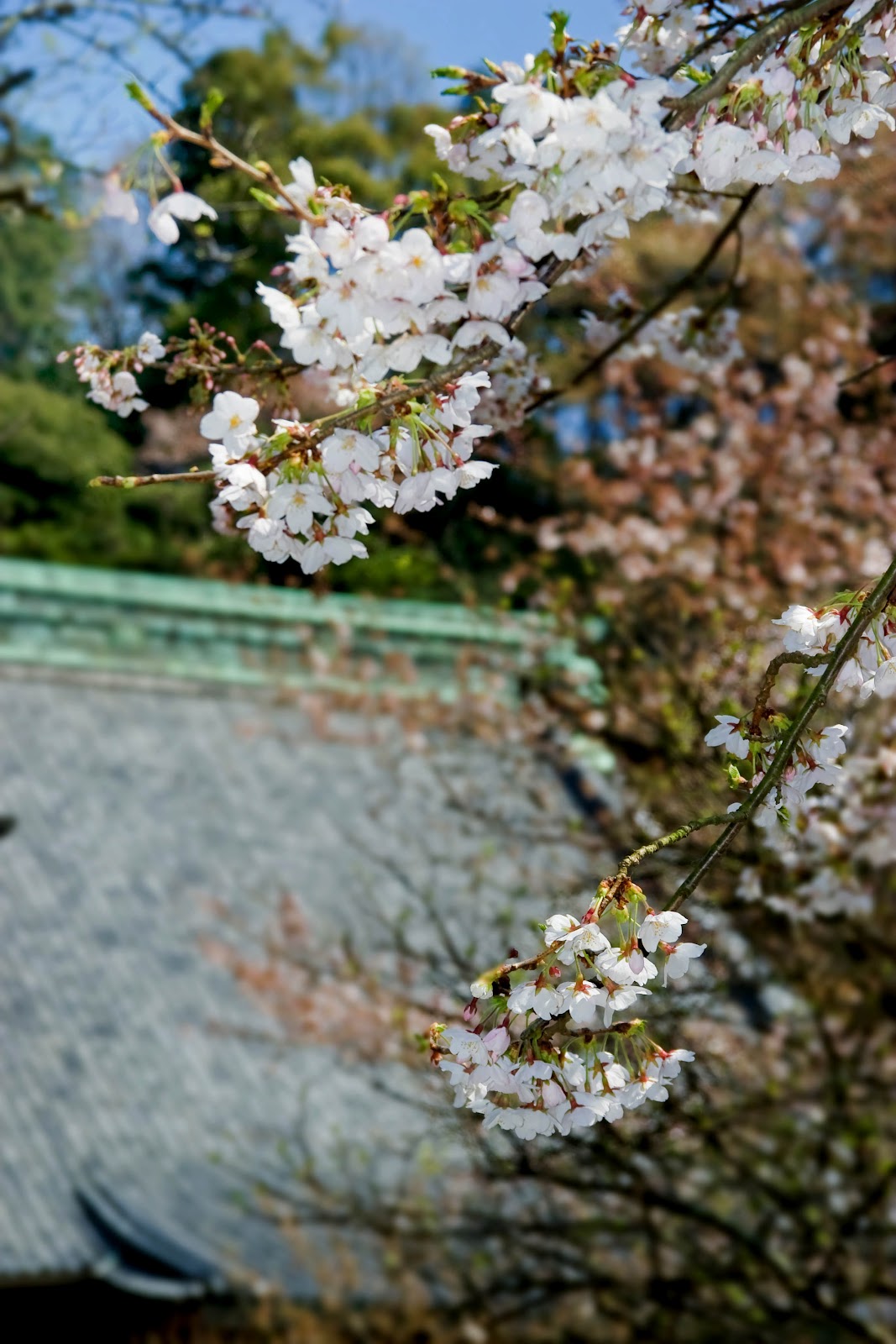 Takatugu Aoki photos of the world: Ancient capital of Kamakura seasonal ...