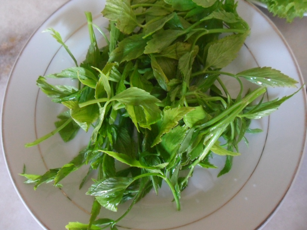 diari rumah oren: Ulam Daun Selom