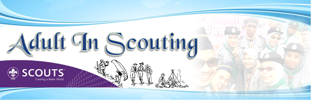 Adult In Scouting II