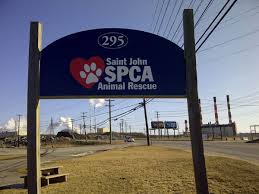 Project Bringing Greenery To Saint John SPCA | 97.3 The Wave