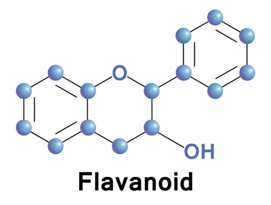 Flavonoid