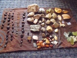 Wild Treasures: Beachcombing Tips - How To Beachcomb
