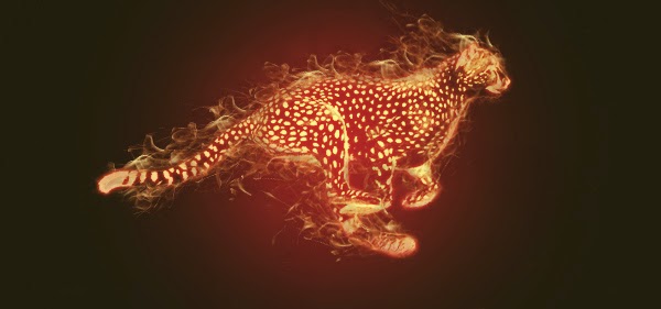 Justin's Blog: Flaming Cheetah