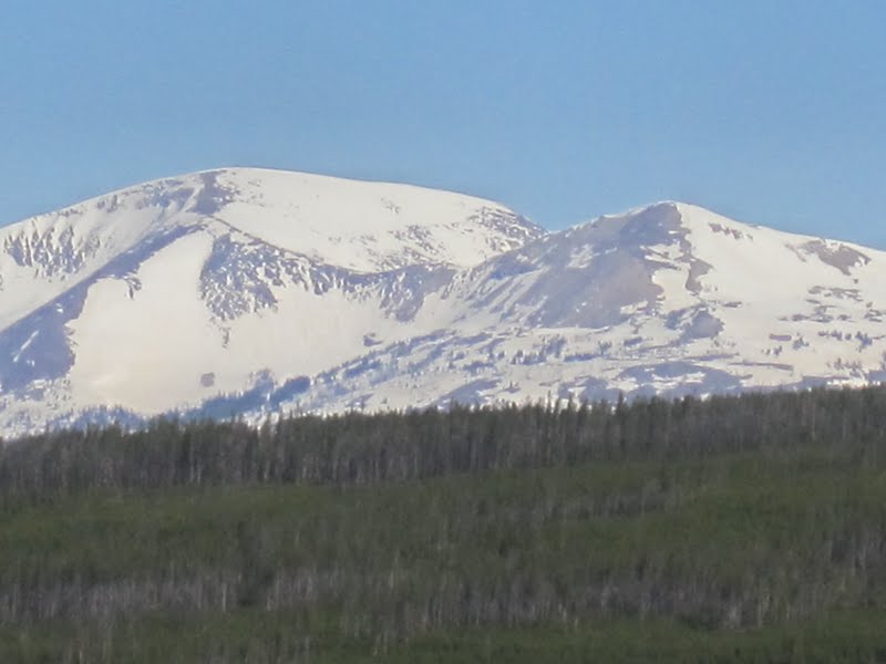 The Scallywagon: YOU SKIN GRIZ', PILGRIM? Yellowstone National Park