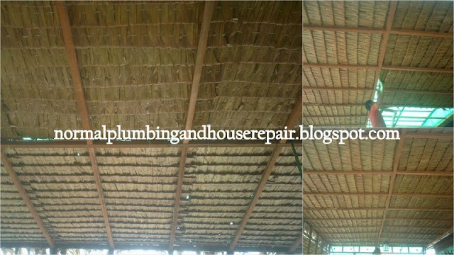 NORMAL PLUMBING: November 2013